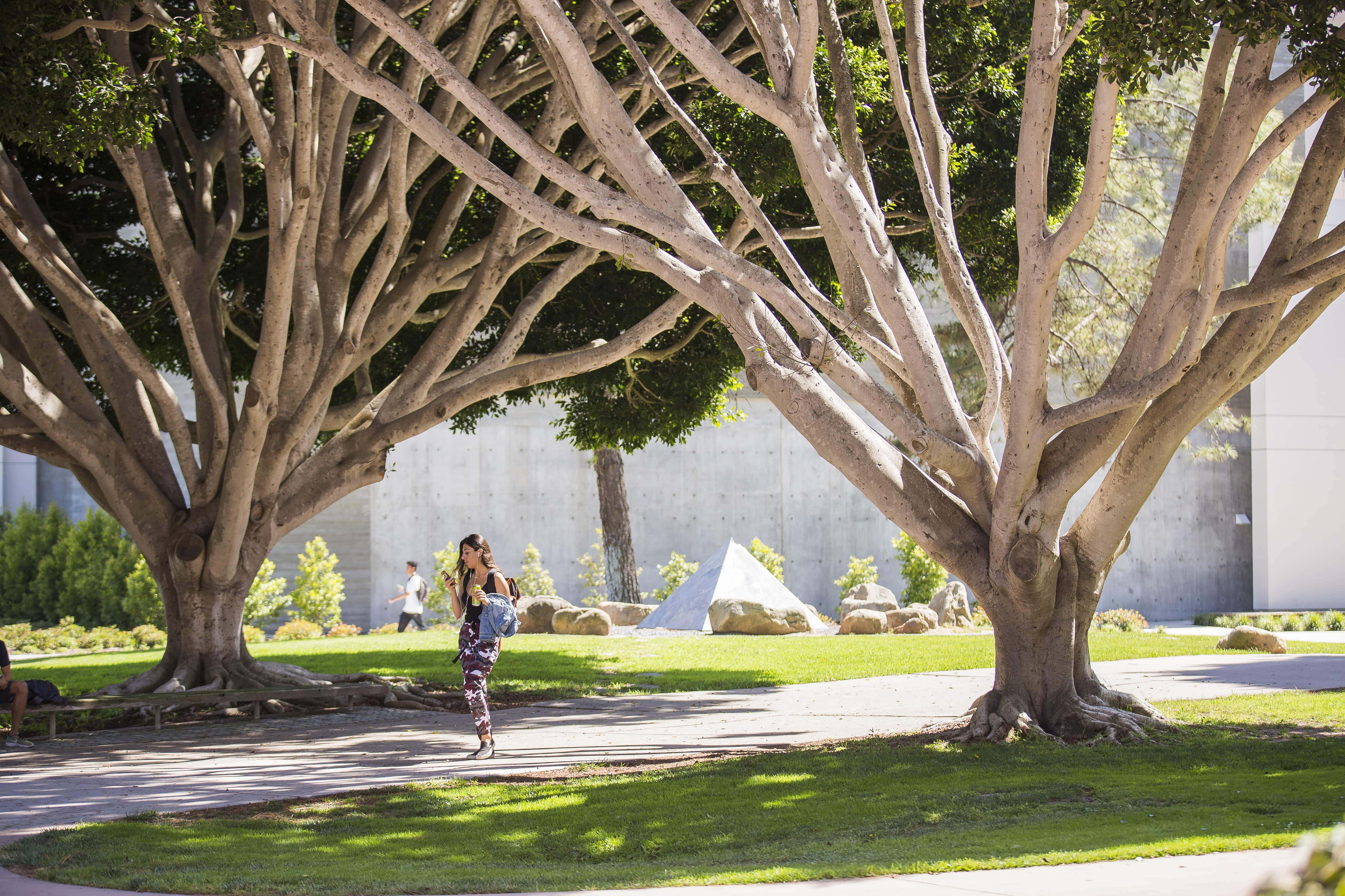 Scholars | UCSB Office Of International Students & Scholars